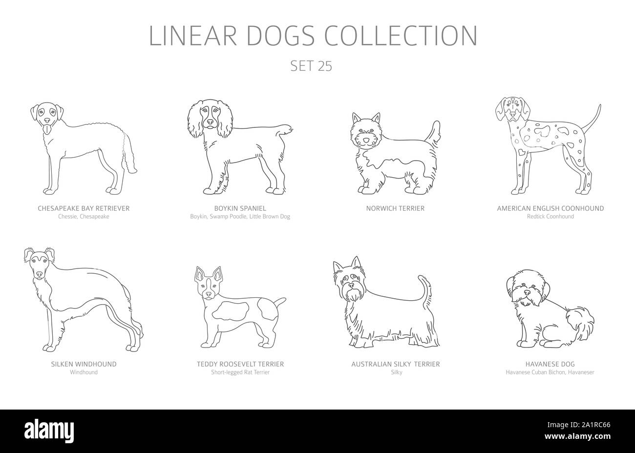 Silken wind hound Stock Vector Images - Alamy