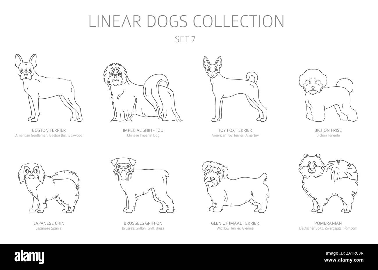 Simple line dogs collection isolated on white. Dog breeds. Flat style ...
