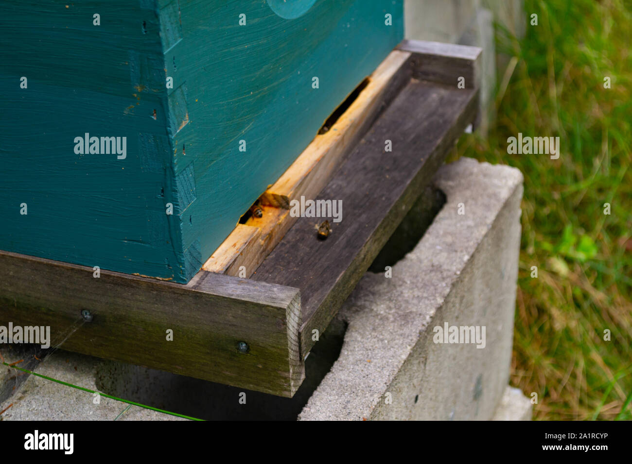 a beekeeper's stacked green honey bee hive boxes in a row Stock Photo ...
