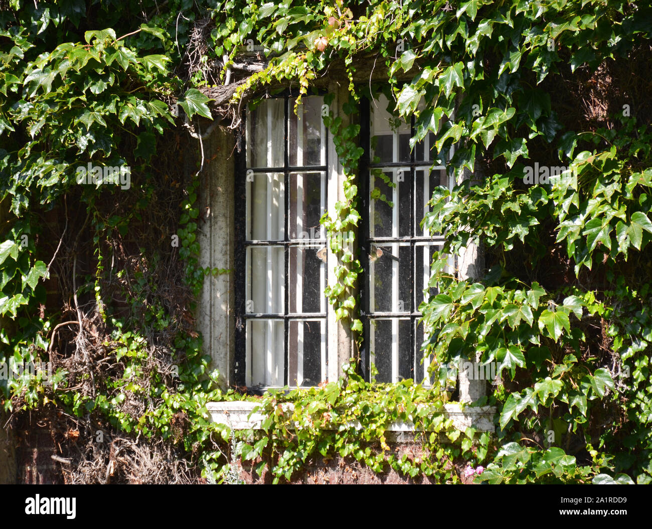 Old closed window of a English house Stock Photo - Alamy