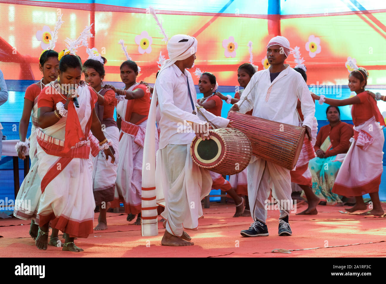 Indian adivasi dancers at an event in the village of Balipara. Assam ...