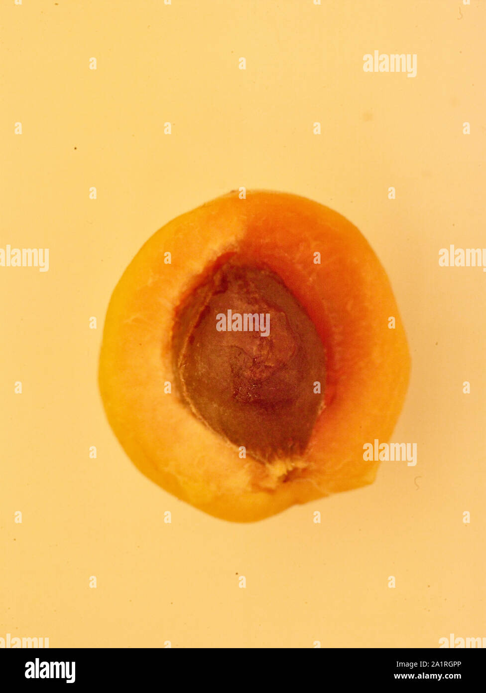 Apricot cultivars hi-res stock photography and images - Alamy