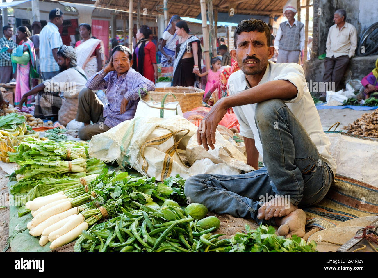 Assam Farmer Stock Photos & Assam Farmer Stock Images - Alamy