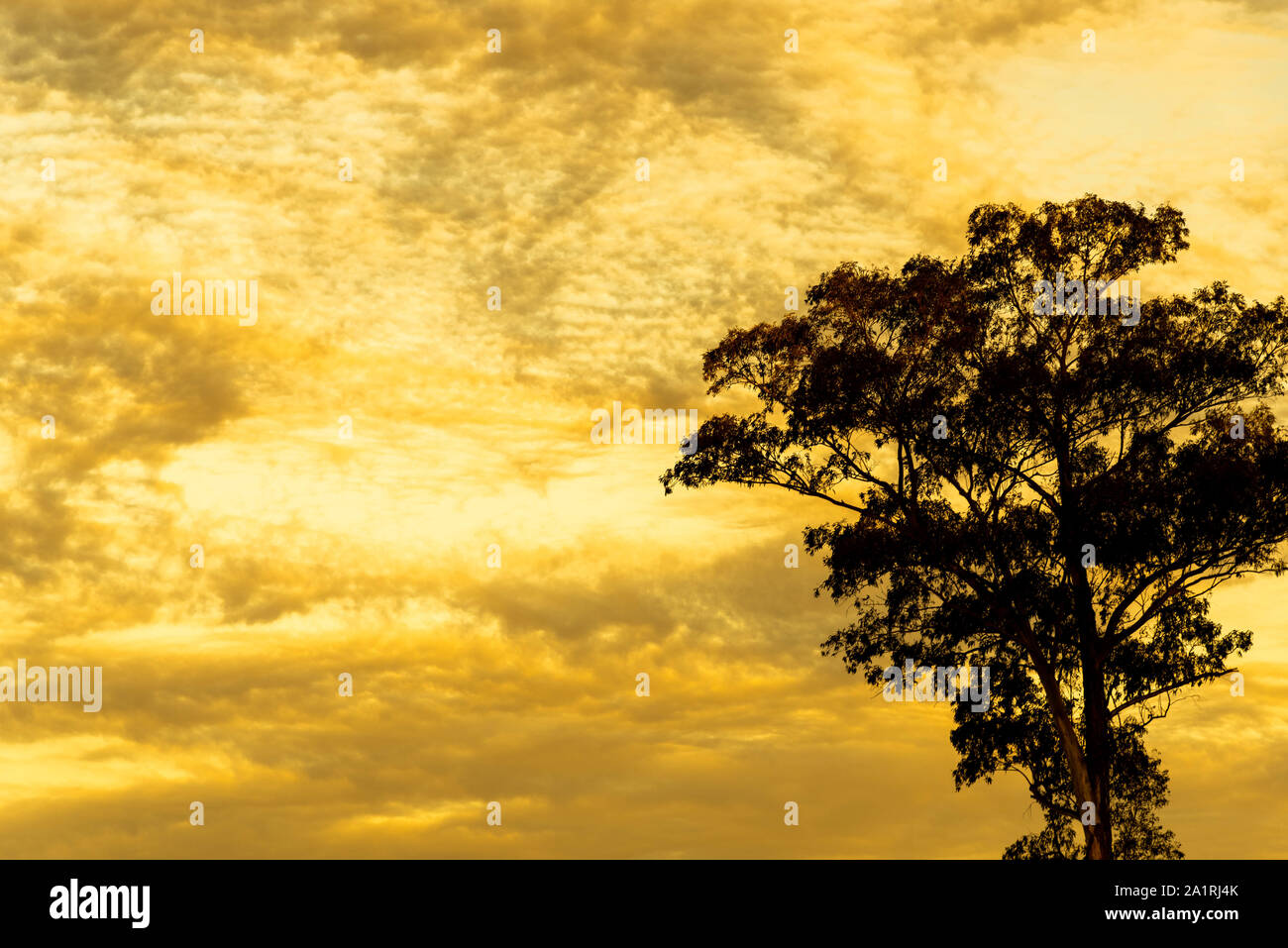 The colors and silhouettes of the clouds in the late afternoon in ...