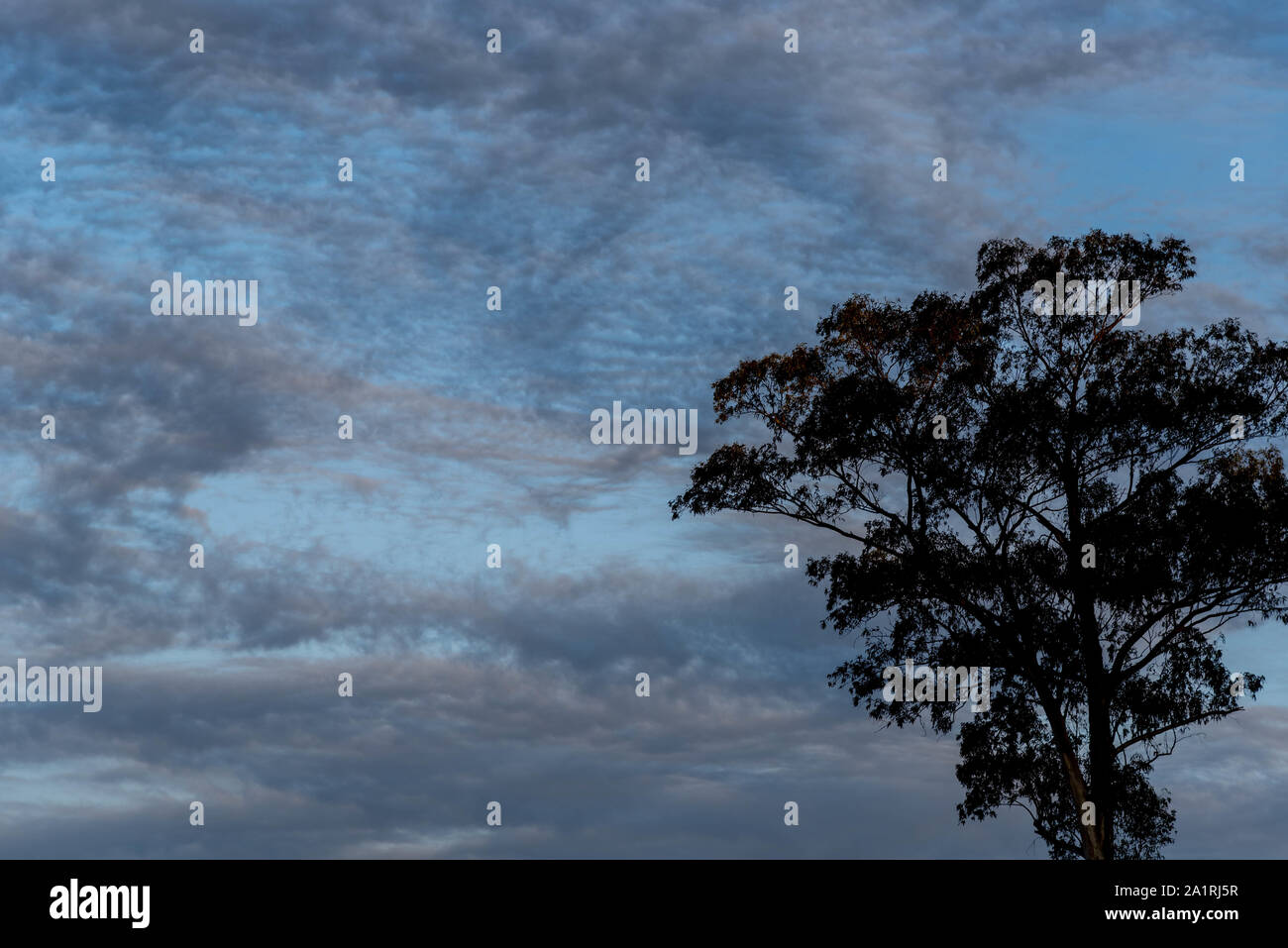 The colors and silhouettes of the clouds in the late afternoon in ...