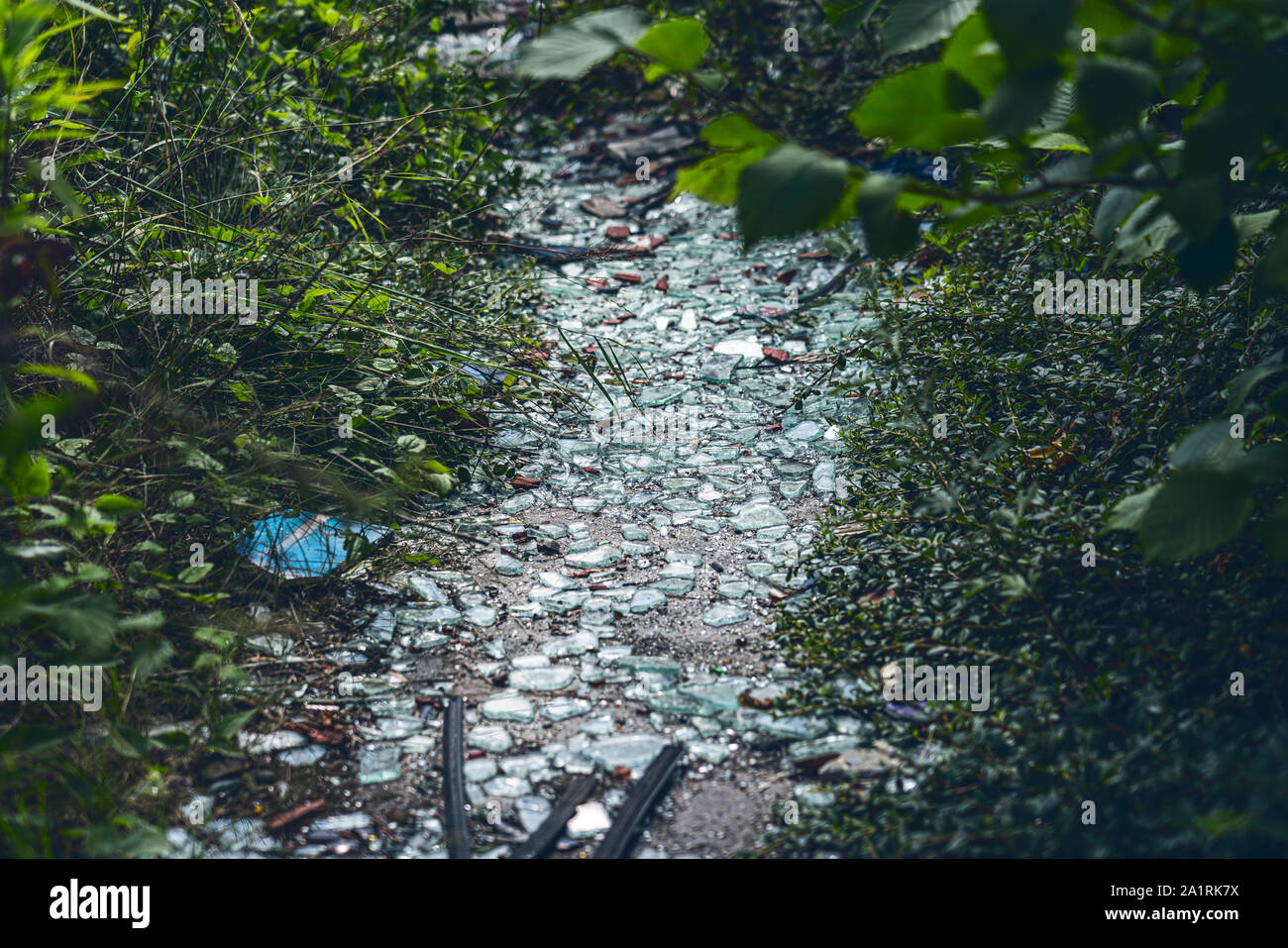 path with broken glass and garbage Stock Photo - Alamy