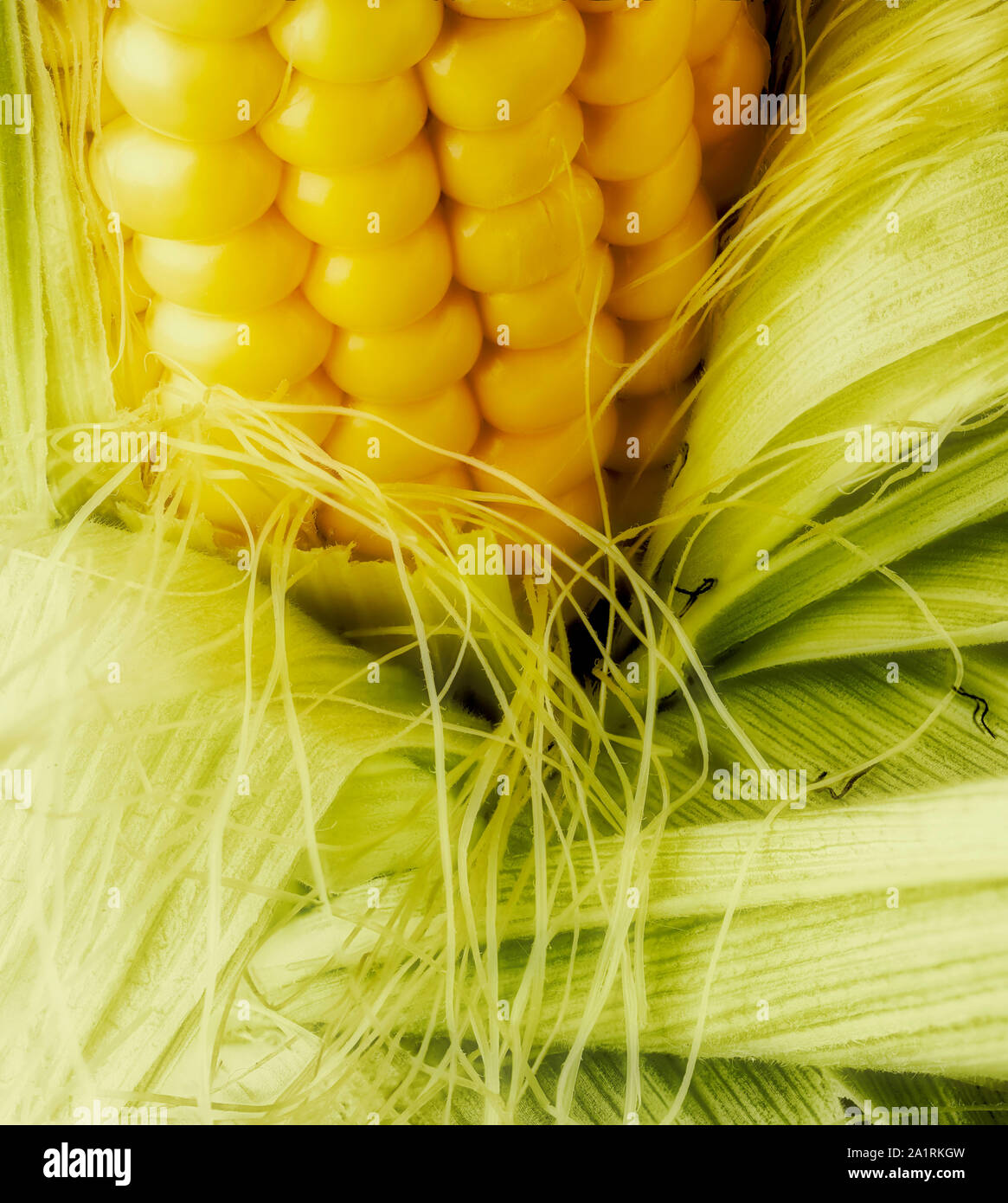 Zea maize plants spike hi-res stock photography and images - Alamy