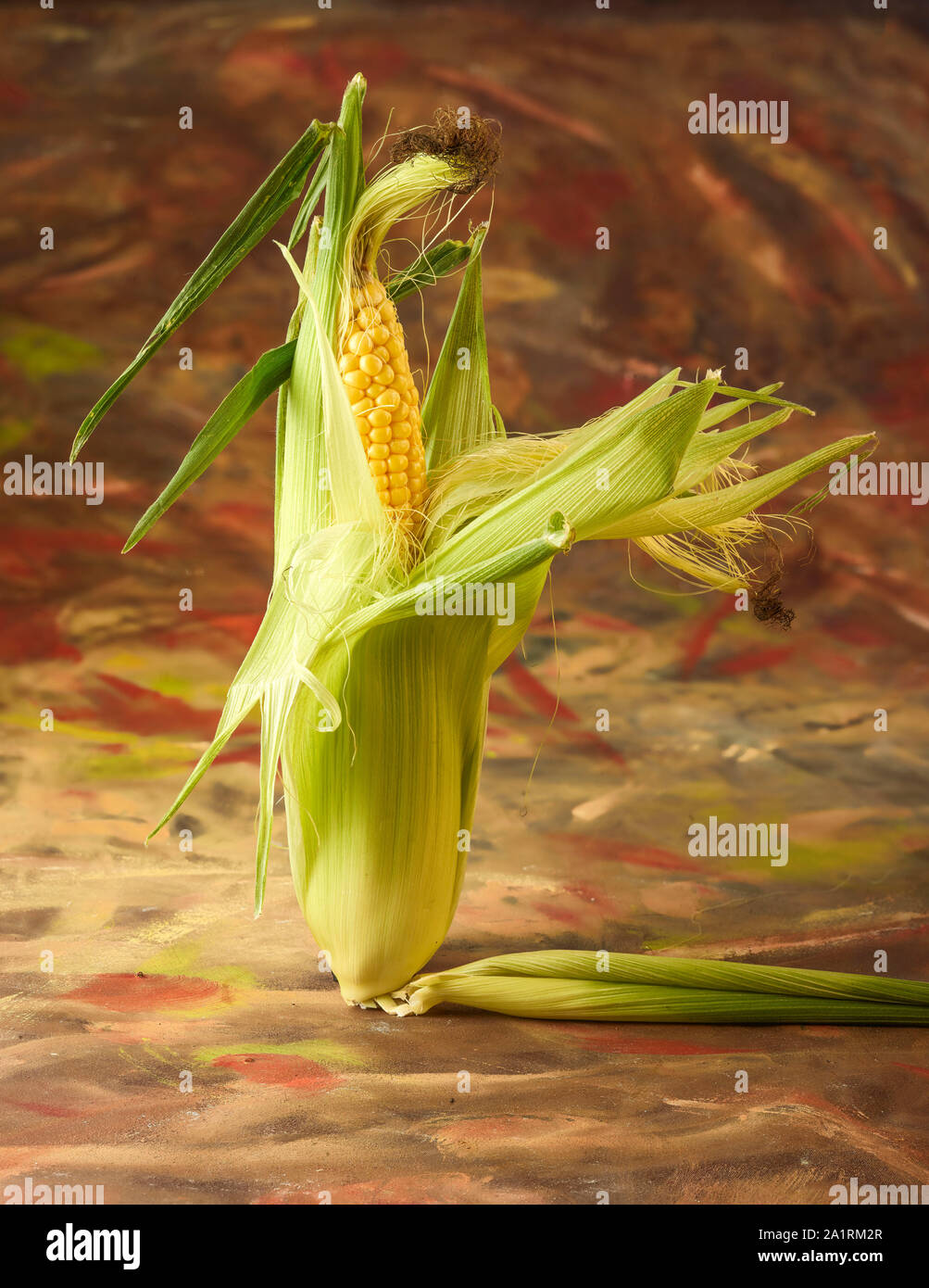 Semi-abstract sweetcorn, Maize, food portrait Stock Photo - Alamy