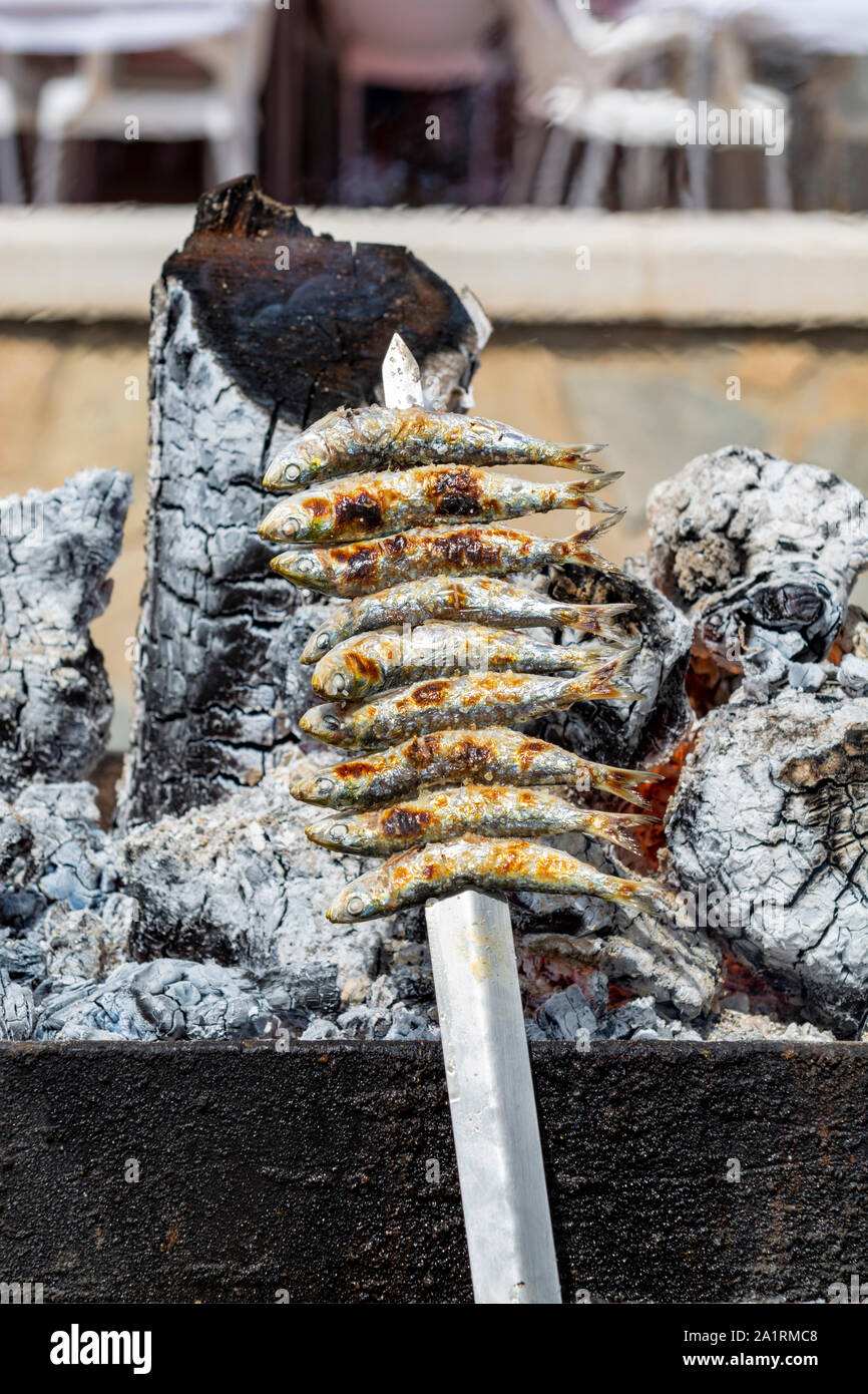 Sardines espeto, Malaga style fish on stick barbecue prepared on olive ...