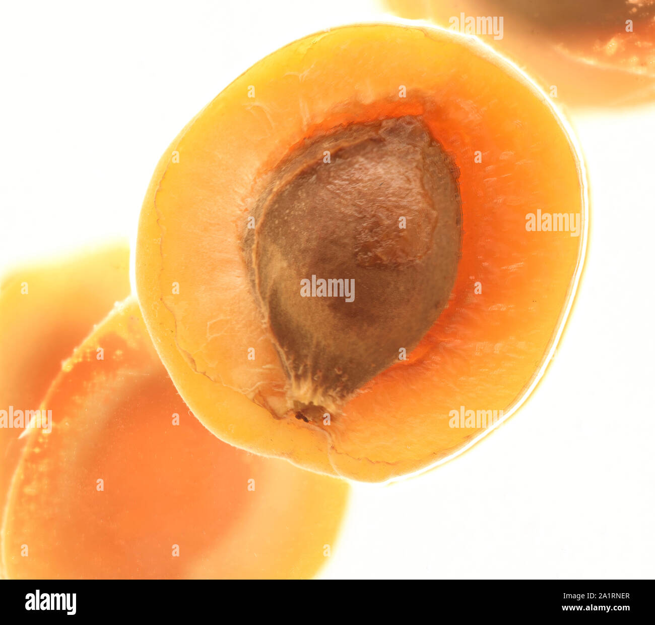 Apricots food portrait Stock Photo - Alamy