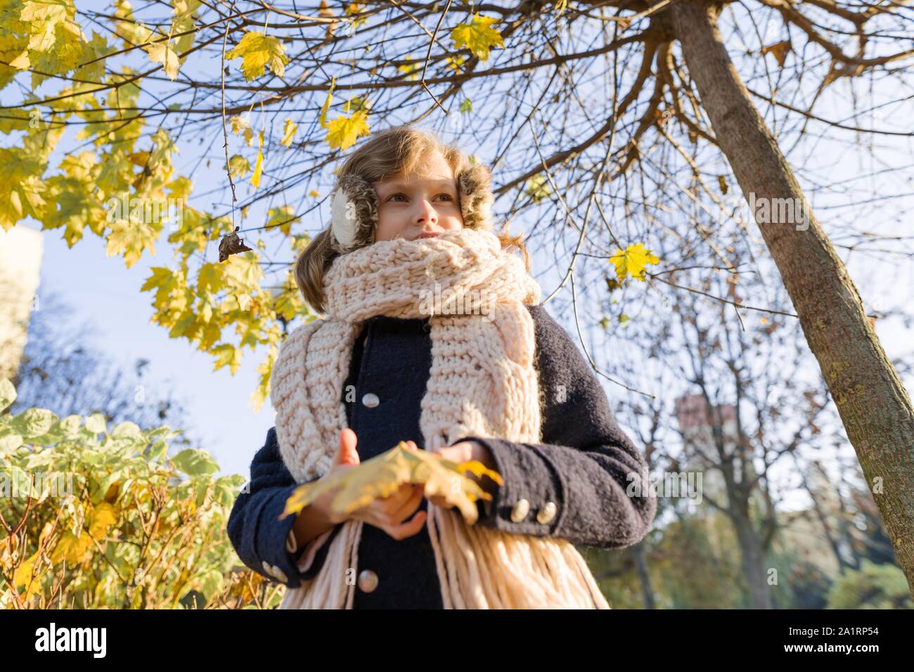 Portrait of child girl under maple tree, background autumn sunny park ...