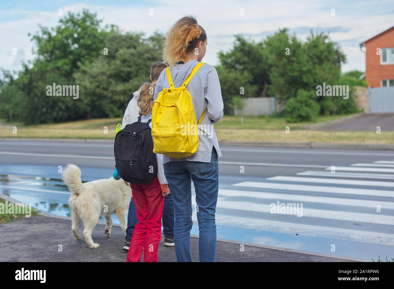 Group of children crossing the road on zebra crossing Stock Photo - Alamy