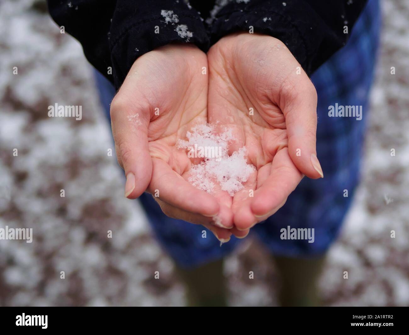 Snow in Hands Stock Photo - Alamy