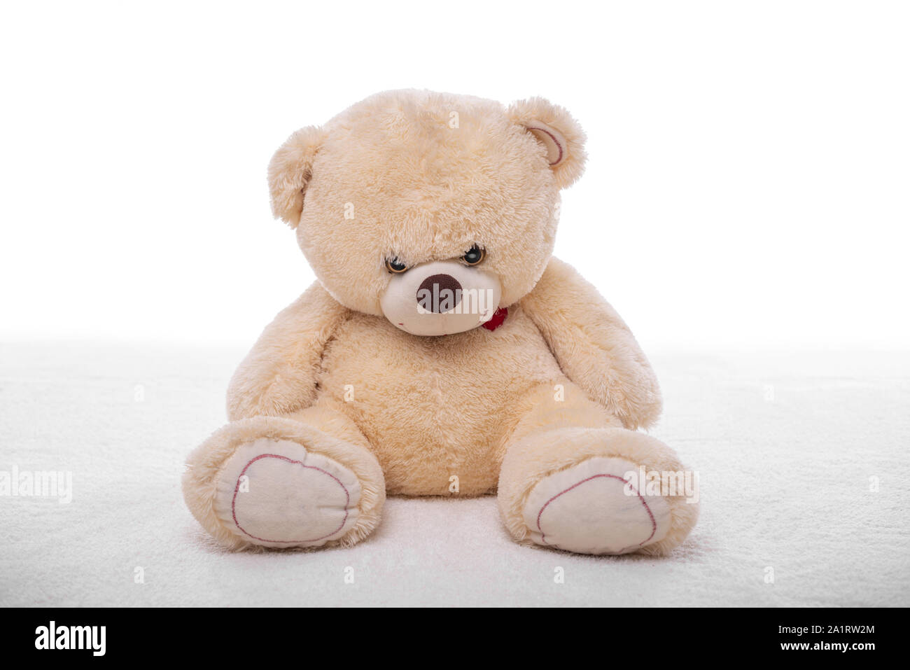 Teddy bear on a white carpet Stock Photo - Alamy