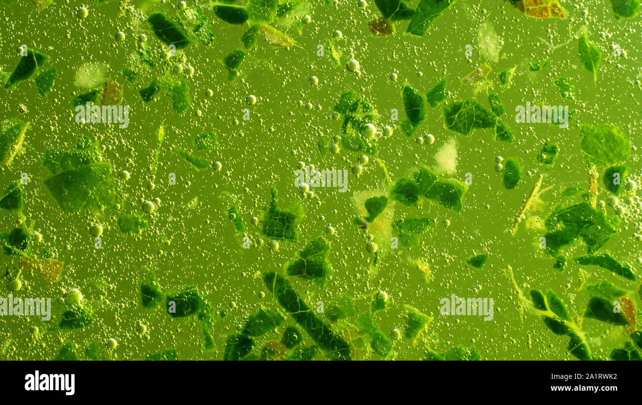 Color of life green background. Fragments of vegetation, Fermentation ...
