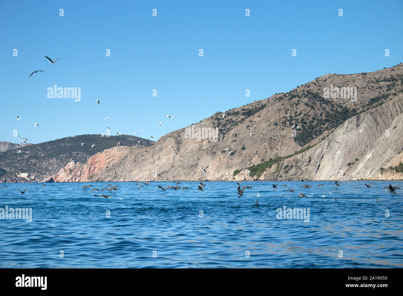 Rock outlier on background of mountains without forests, which are ...