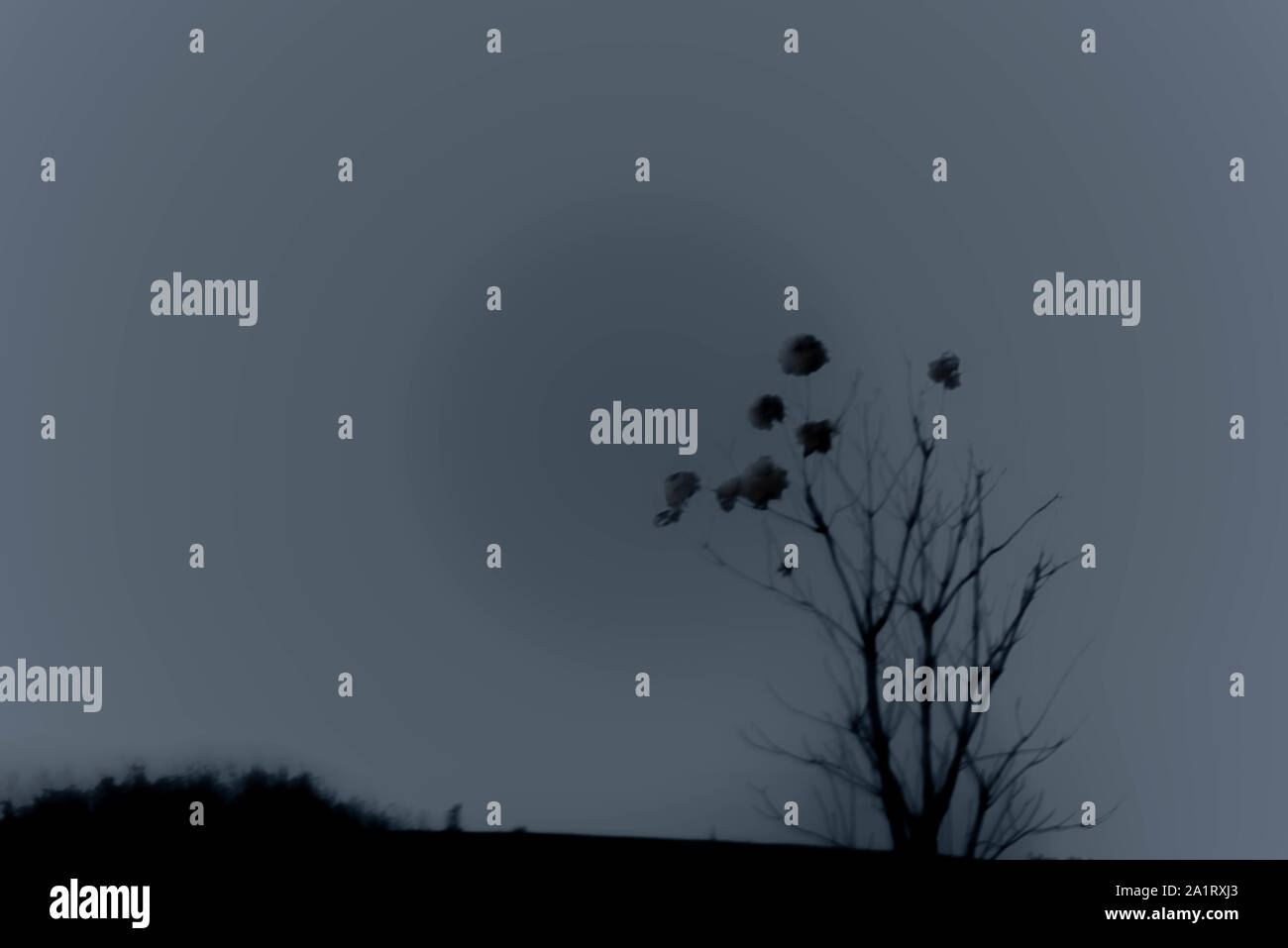 Ipe cane hi-res stock photography and images - Alamy