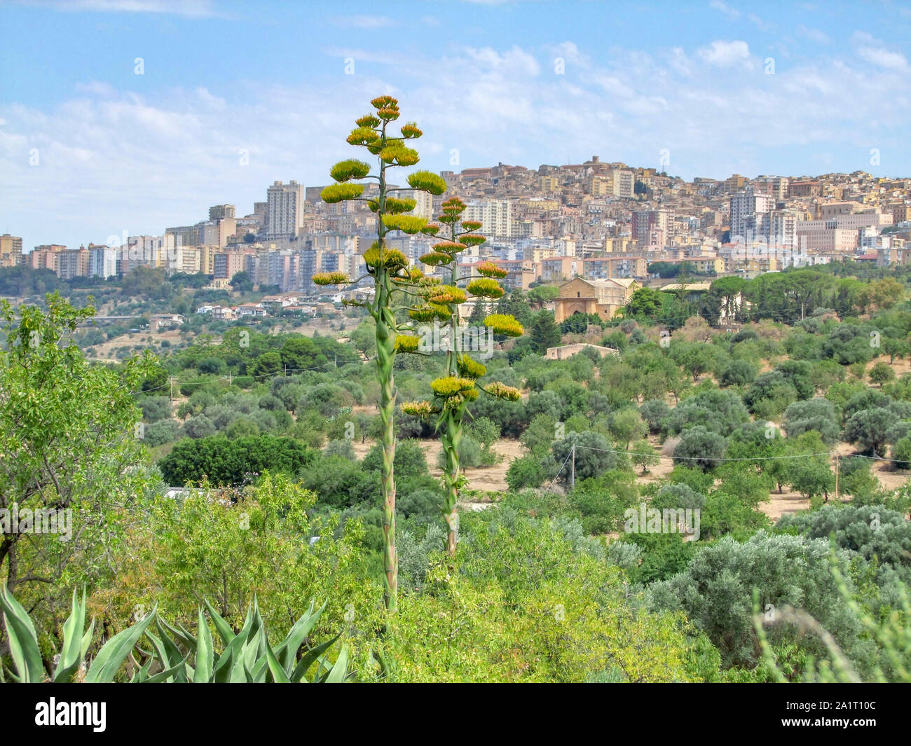 Agrigentum hi-res stock photography and images - Alamy