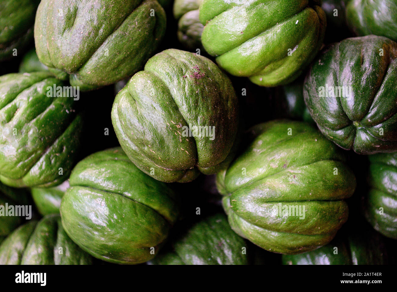 Squash melon hi-res stock photography and images - Alamy