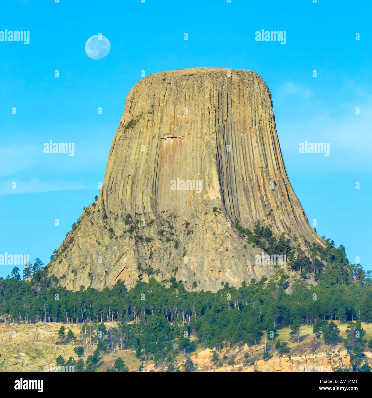 moon setting over devils tower near hulett, wyoming Stock Photo - Alamy