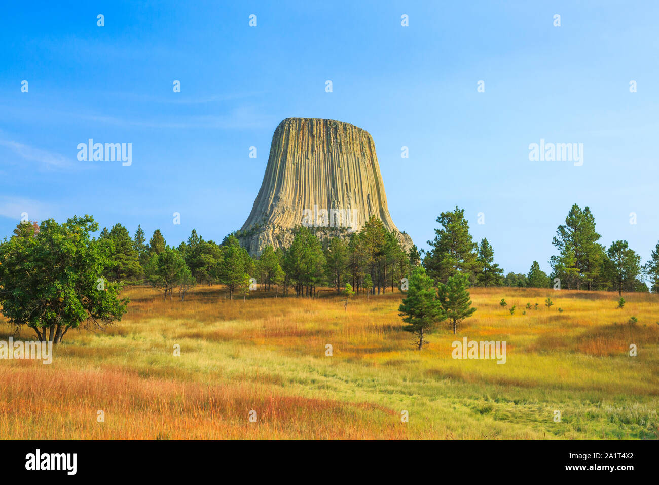 devils tower national monument near hulett, wyoming Stock Photo - Alamy