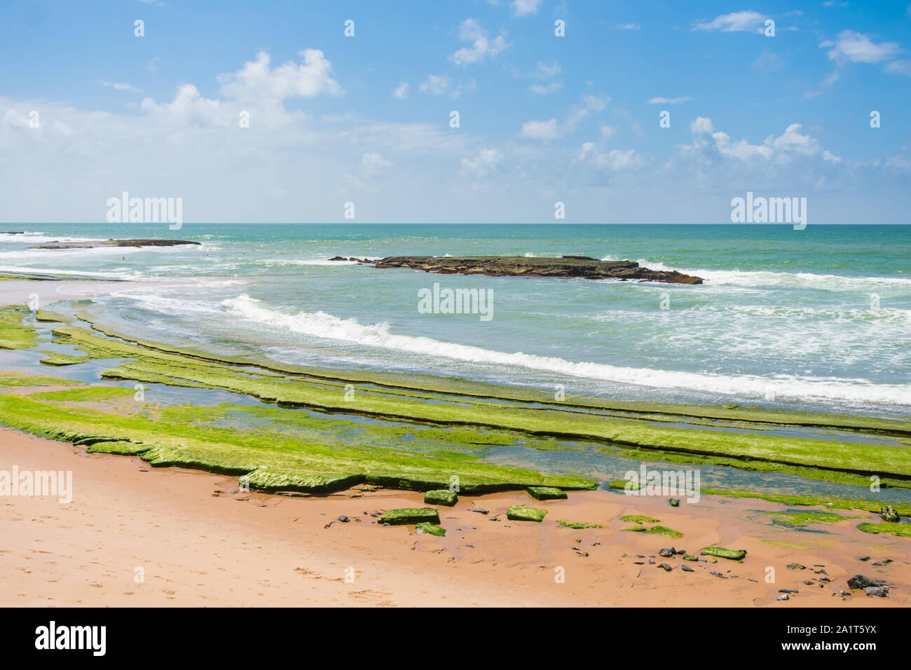 Rocky reefs covered in moss - a view of the beach in Arembepe (Bahia ...