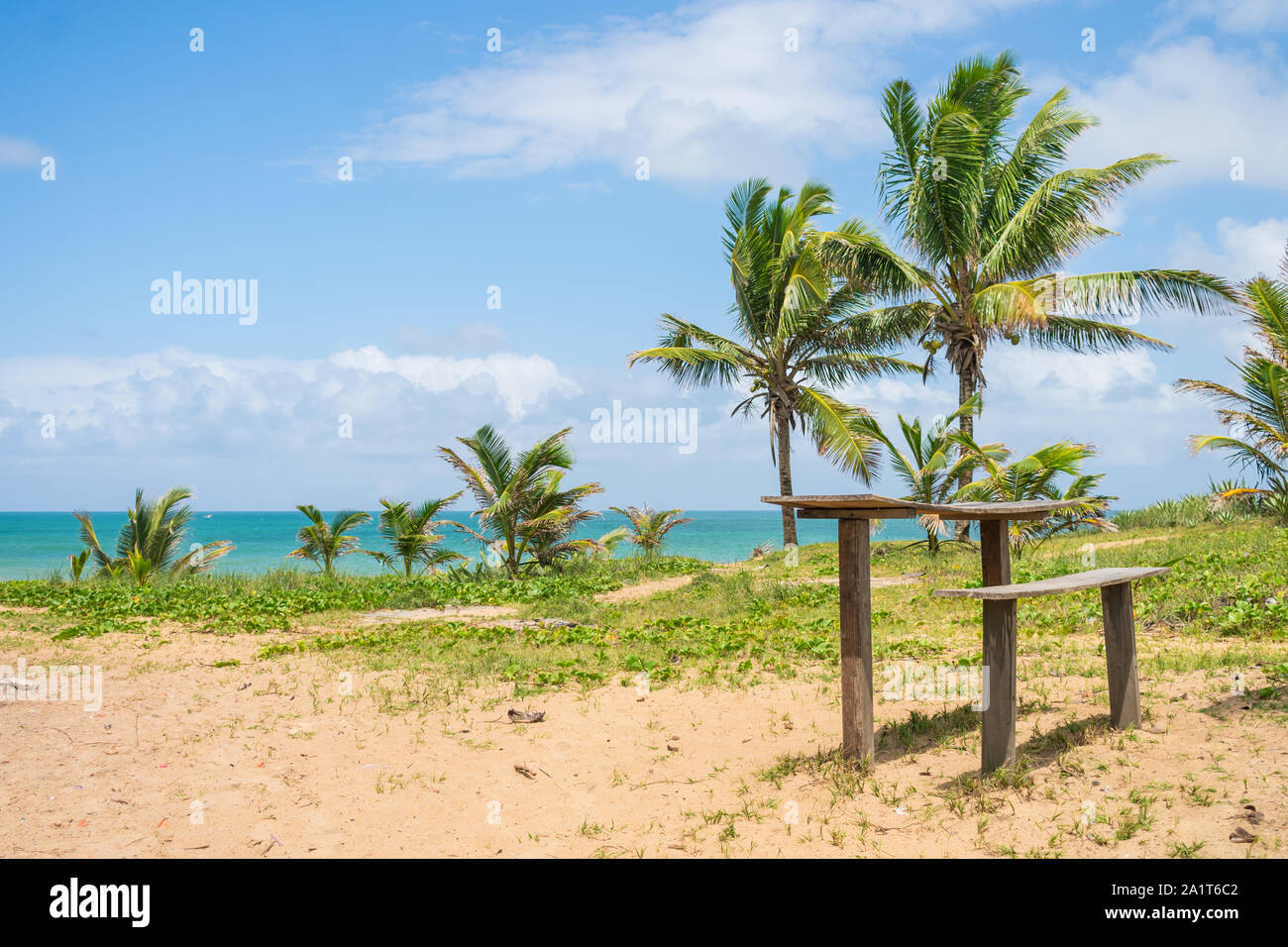 Coconut trees and a bench at the beach near the Hippie village in ...