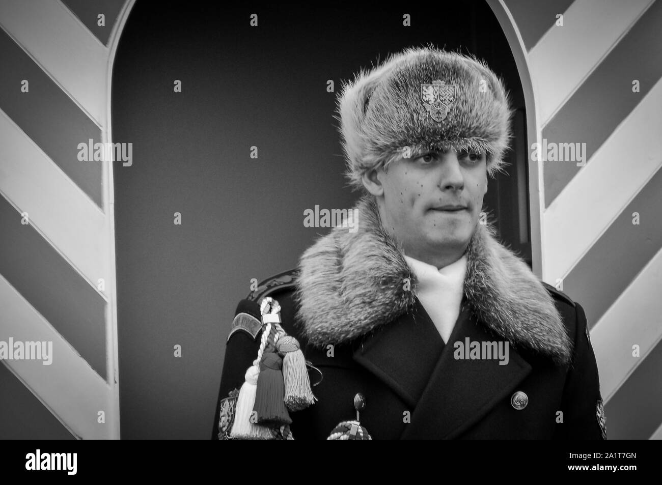 Soldier uniform busby Black and White Stock Photos & Images - Alamy