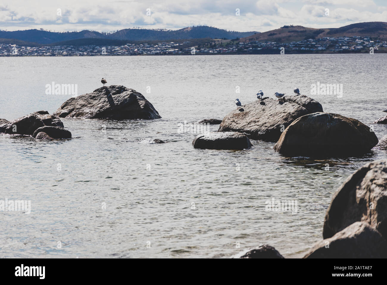 rugged and beautiful little beach in Tasmania Australia in the area of ...