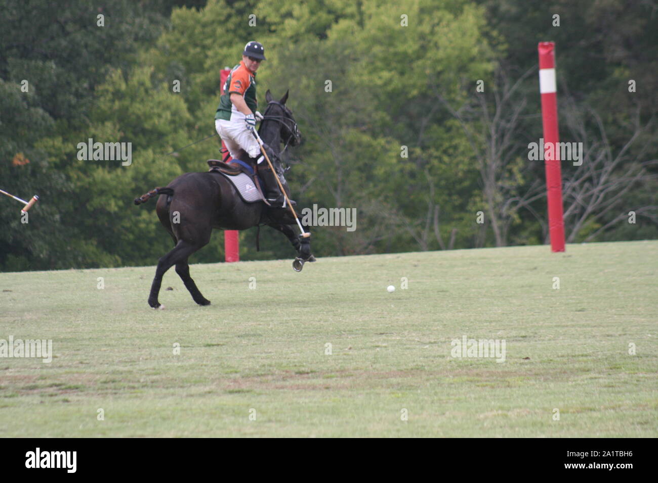 Finding your match hi-res stock photography and images - Alamy