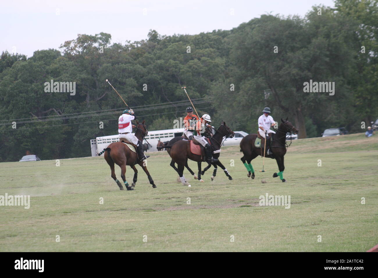 Ball chasing action Stock Photo - Alamy