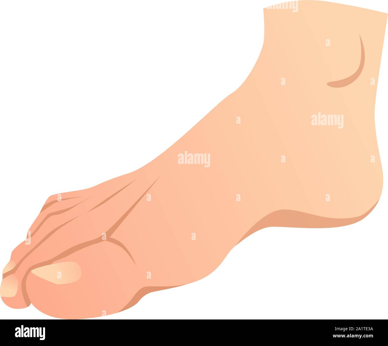 Foot icon vector illustration. Realistic human foot Stock Vector Image ...