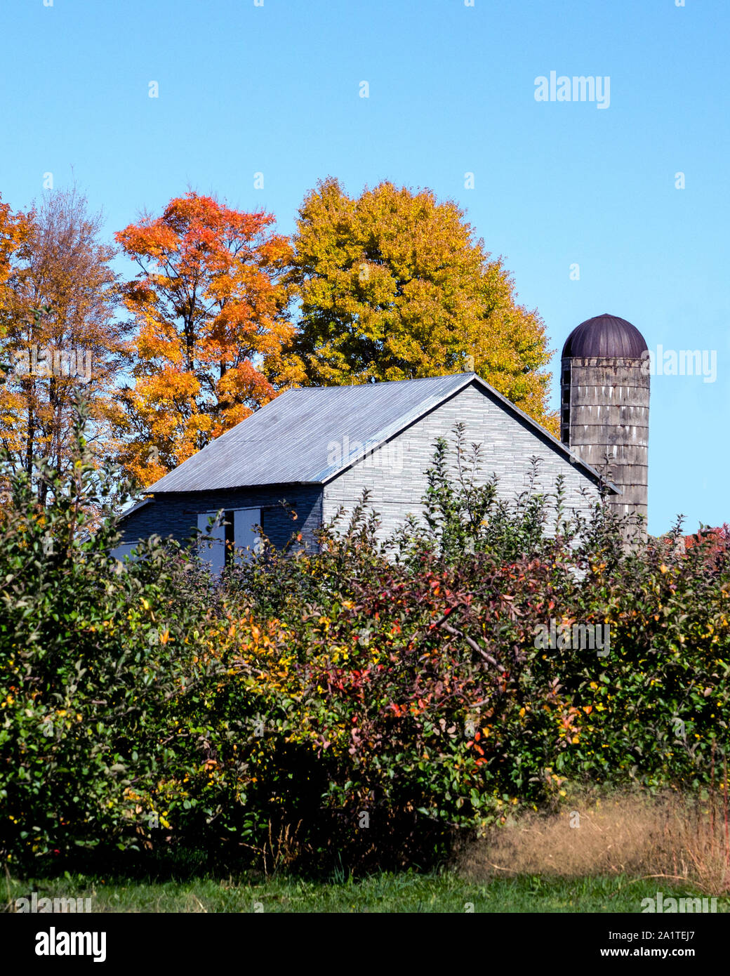 Old barn surrounded by trees field hi-res stock photography and images ...