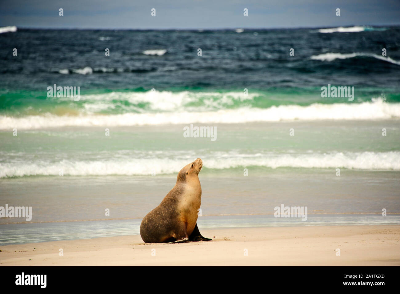 Australian sea view hi-res stock photography and images - Alamy