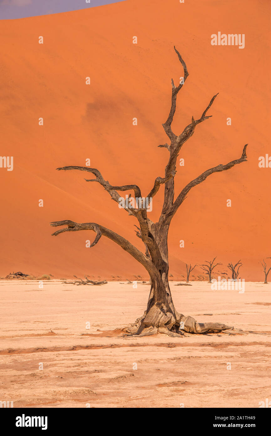 African badlands hi-res stock photography and images - Alamy