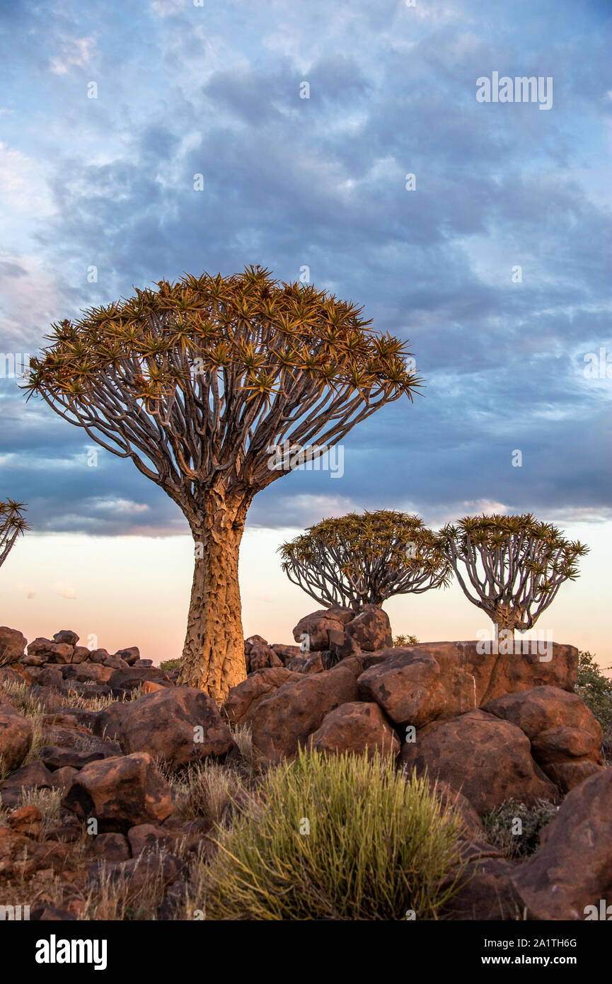 African scenery hi-res stock photography and images - Alamy