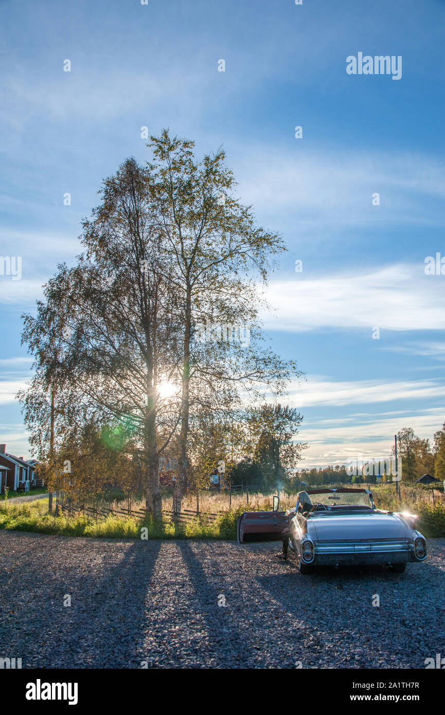 The European scene Stock Photo - Alamy