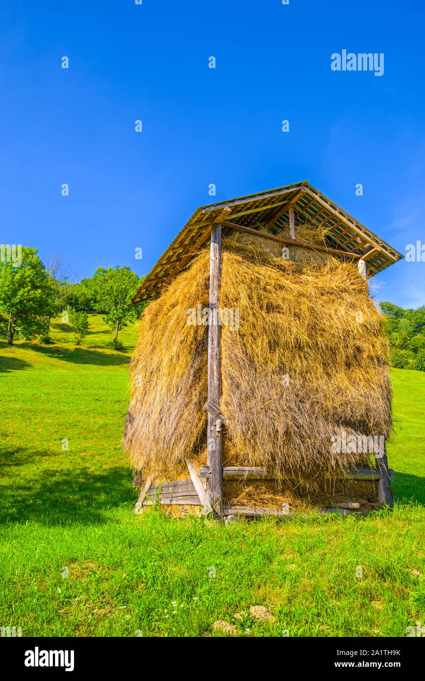 Stacked hay under a canopy, summer pasture landscape Stock Photo - Alamy