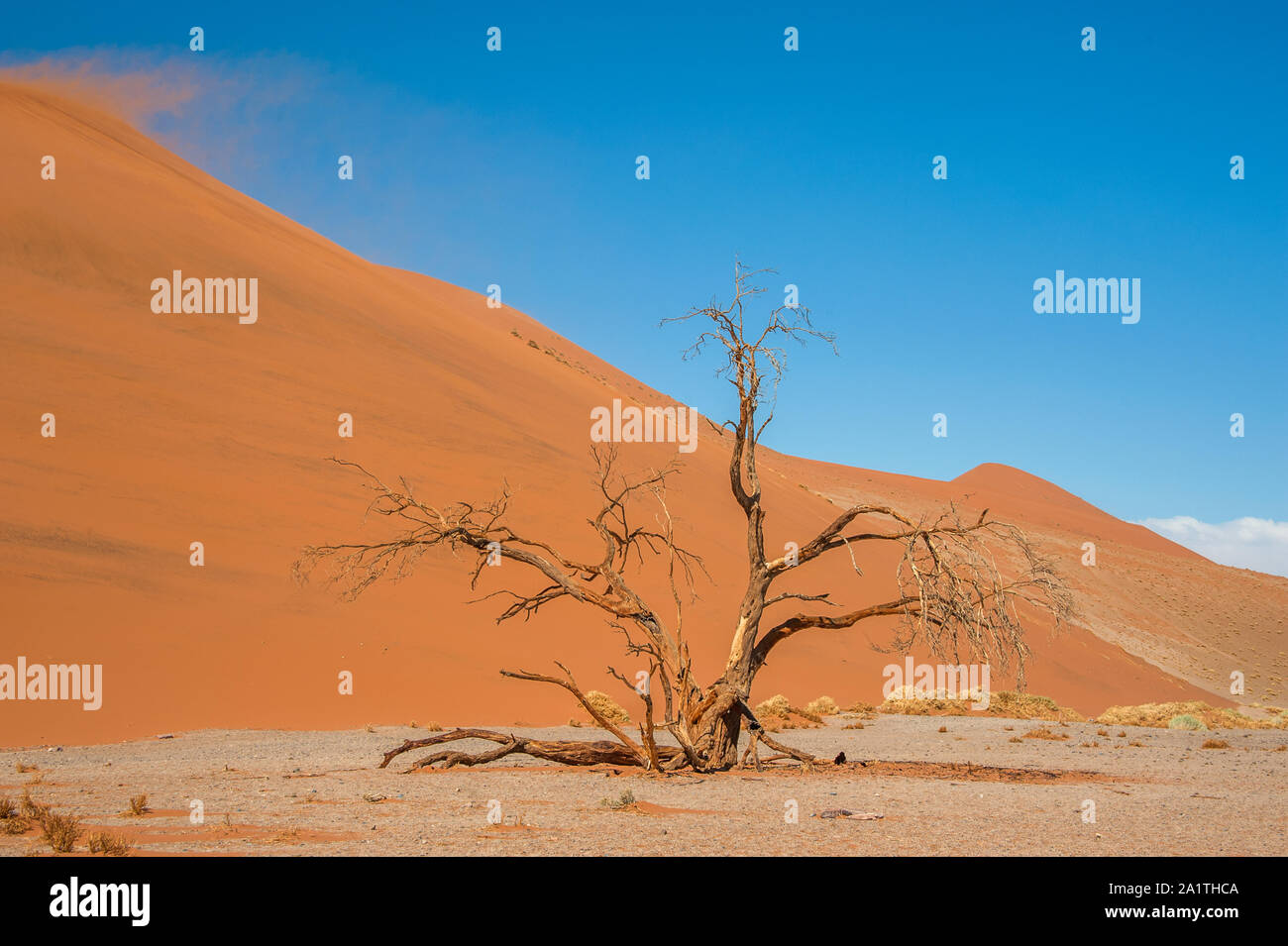 African badlands hi-res stock photography and images - Alamy