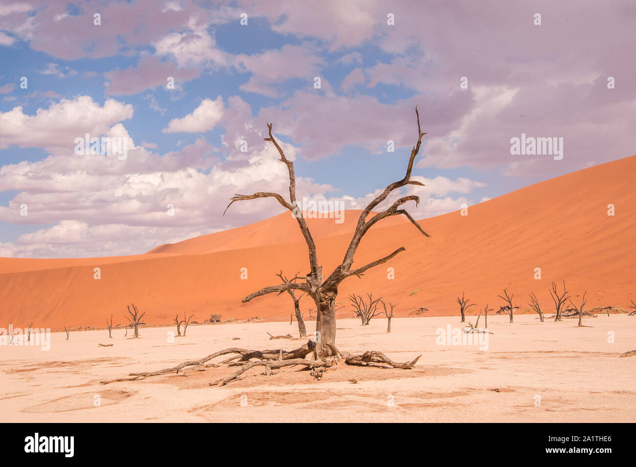 African badlands hi-res stock photography and images - Alamy