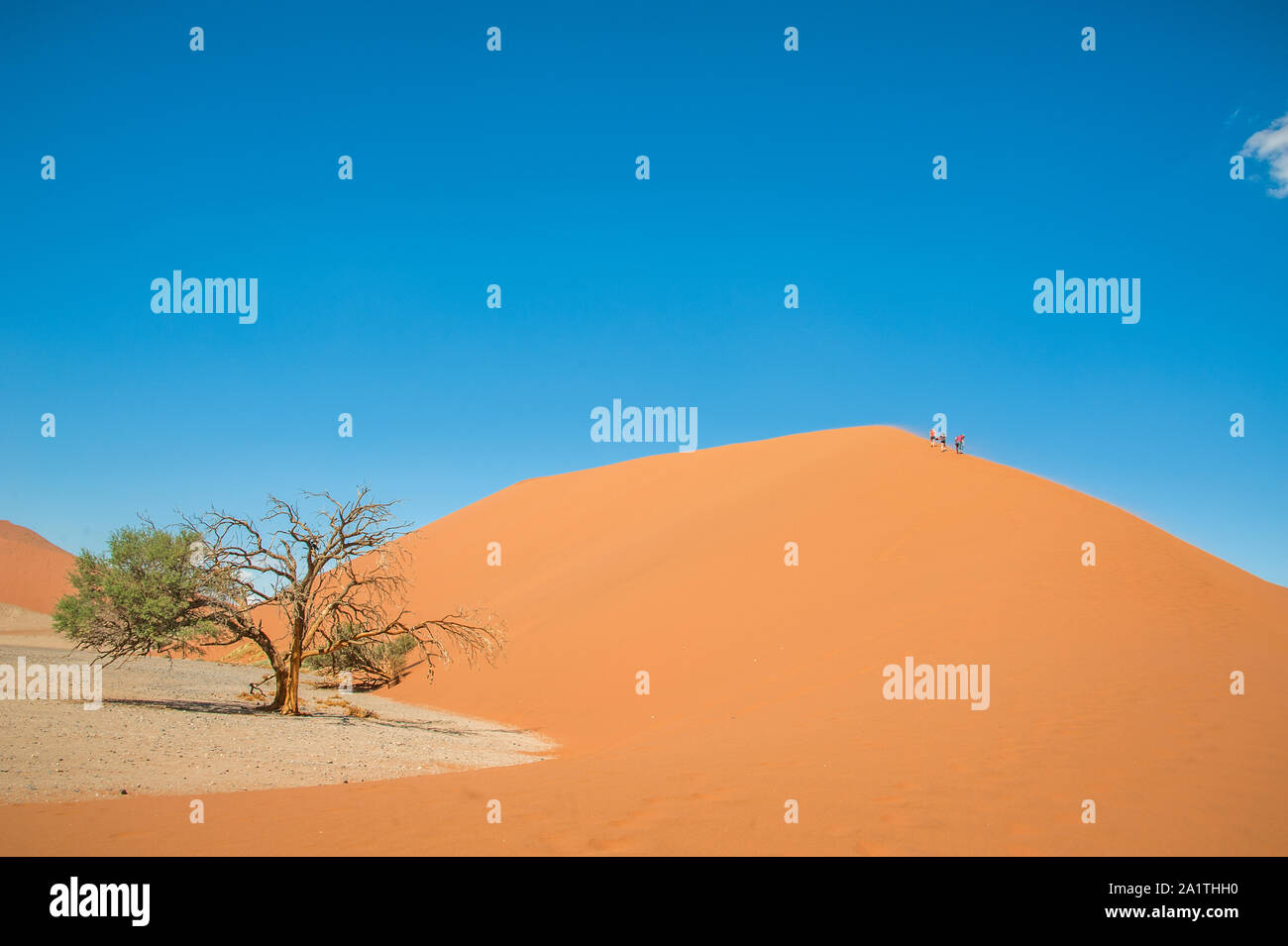 African badlands hi-res stock photography and images - Alamy