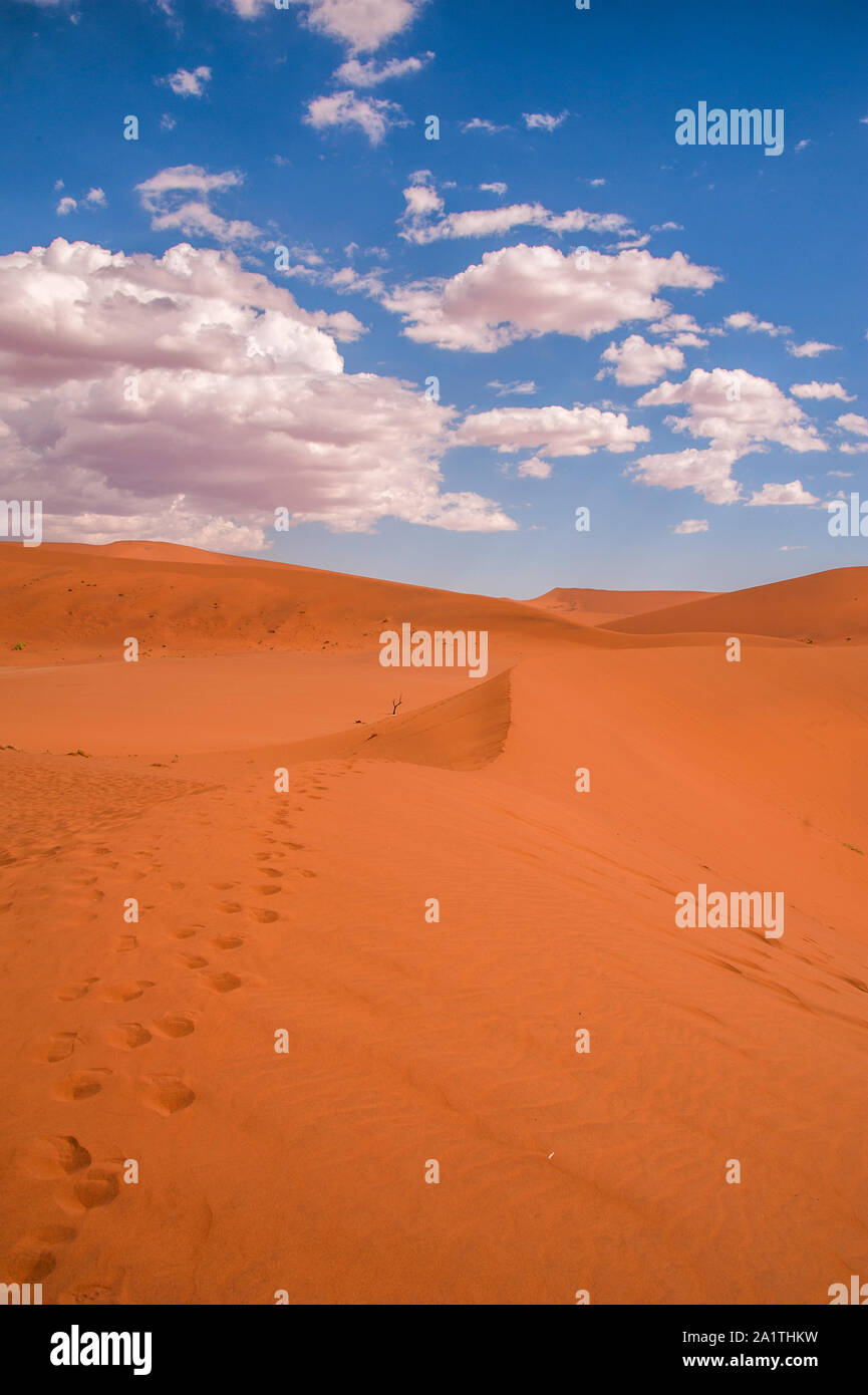 African badlands hi-res stock photography and images - Alamy