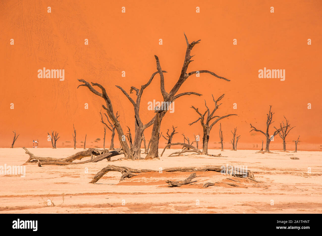 African badlands hi-res stock photography and images - Alamy
