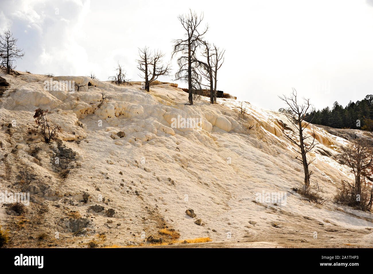 The American scene Stock Photo - Alamy