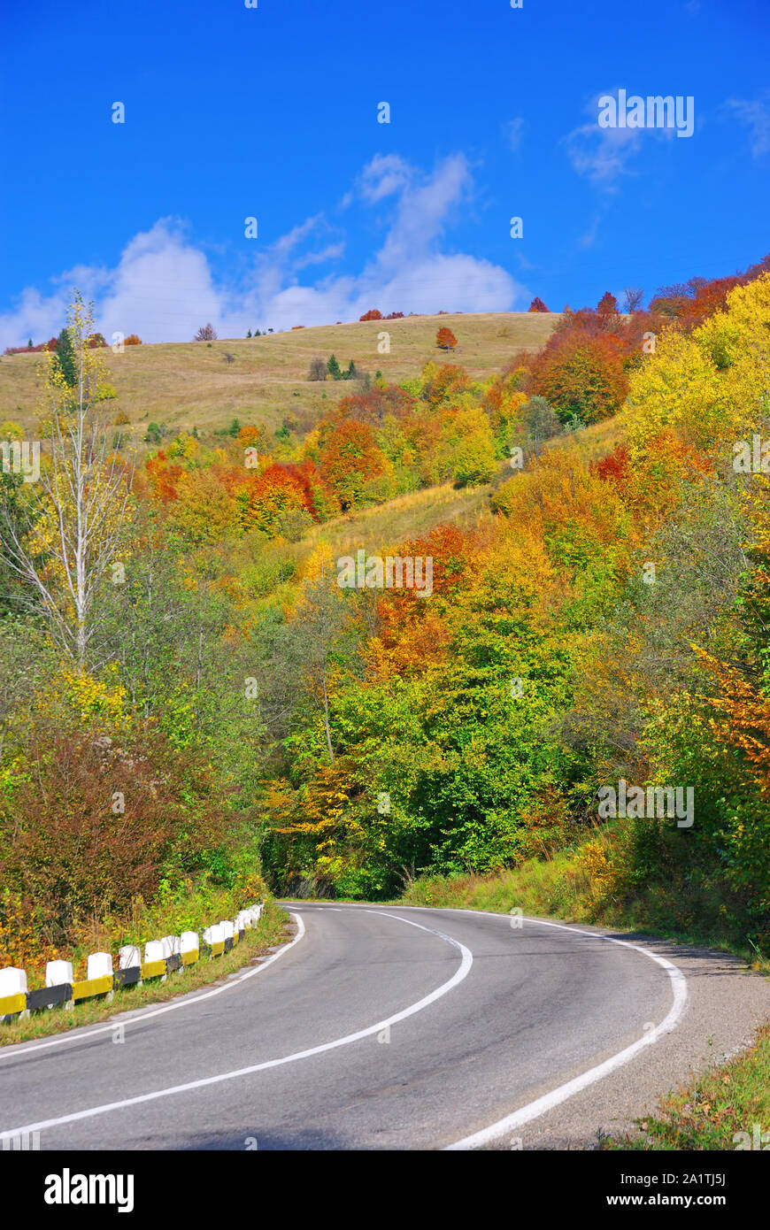 Autumn uphill road, colorful trees in a rural landscape Stock Photo - Alamy