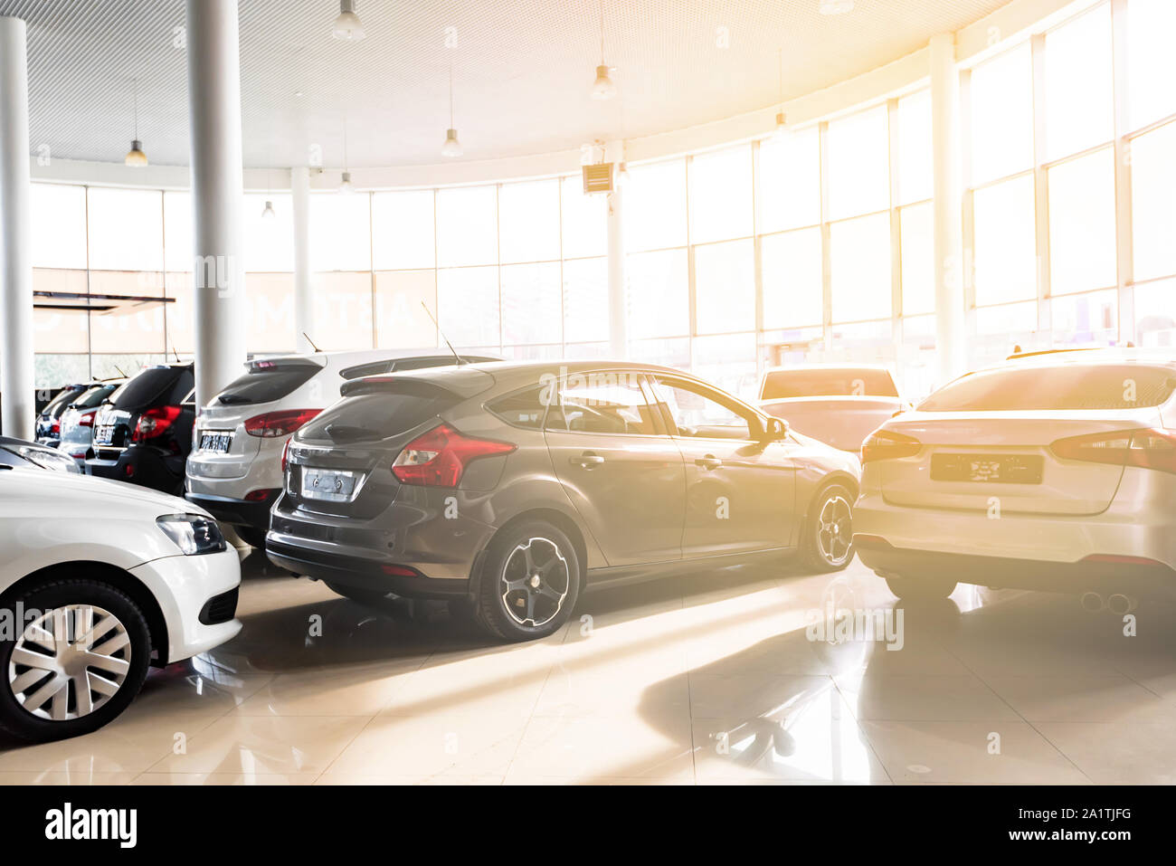 Stock of cars in showroom of automobile dealer with sunlight from ...