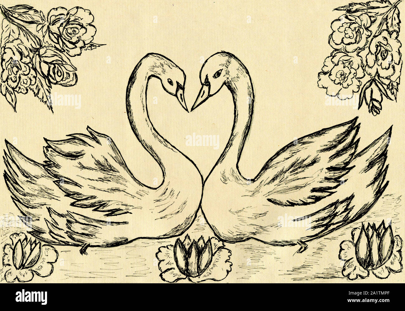 Grunge sketch of two swans in the pond, abstract illustration Stock ...