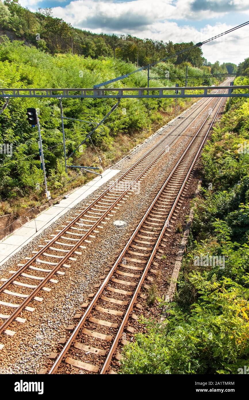 Electrified bushes hi-res stock photography and images - Alamy