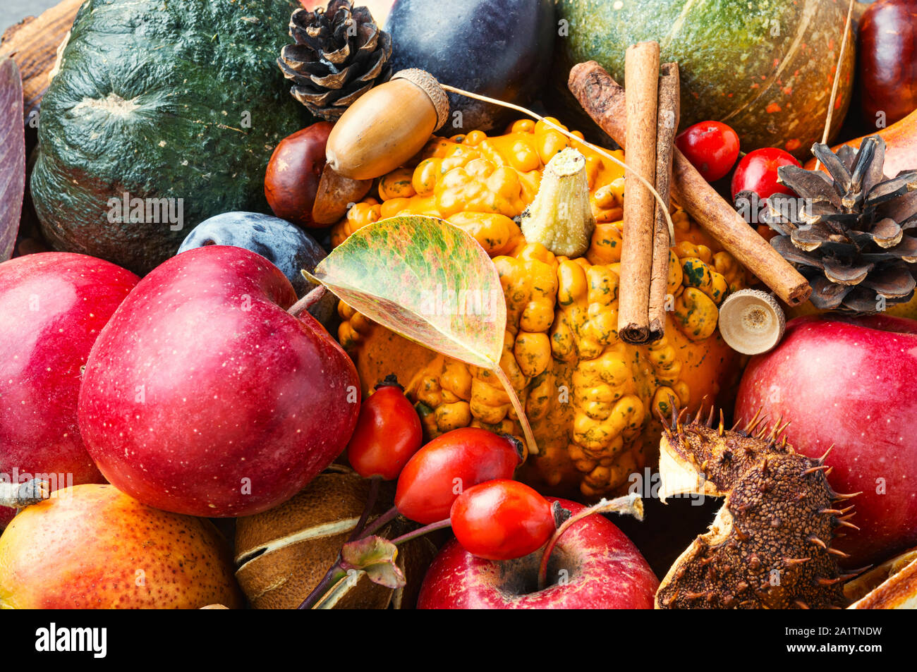 Fruits and pumpkins,nut in autumn still life on wooden table.Fall still ...