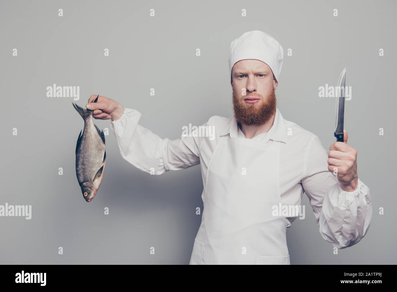 Portrait of mad attractive handsome serious fury butcher guy holding ...